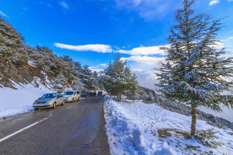 ChrÃ©a park editorial stock photo. Image of landscape - 110533063