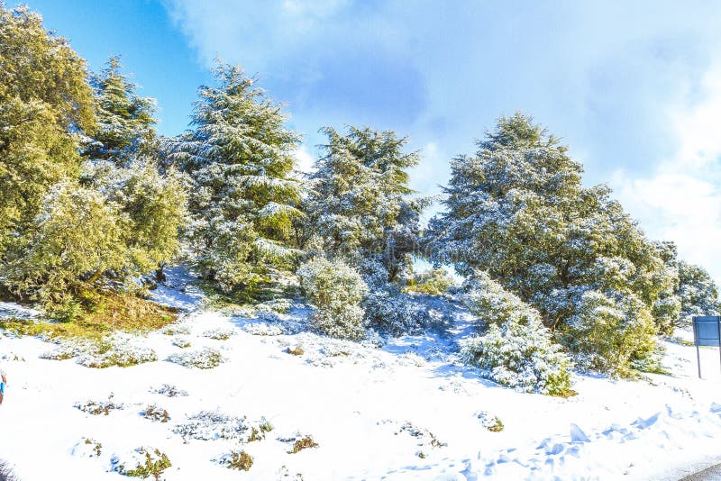 ChrÃ©a park stock photo. Image of nature, leaves, calmness - 110531476