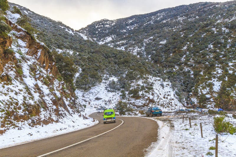 Chrea park editorial image. Image of protection, climat - 61600630