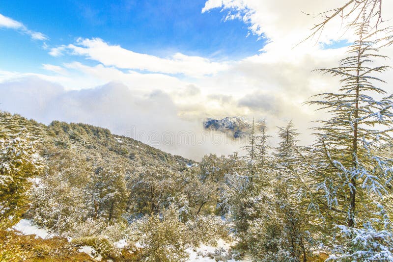 Chrea stock photo. Image of algeria, cloud, protection - 142619142
