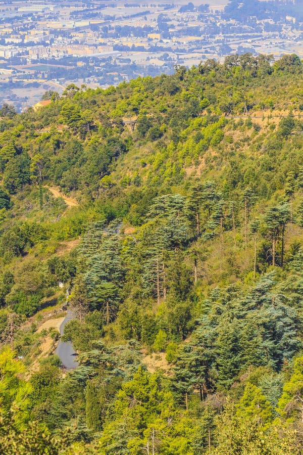 Chrea park stock photo. Image of adventure, national - 60962190