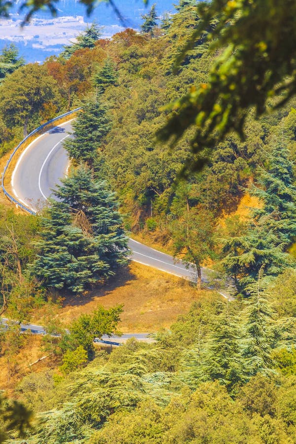 Chrea park stock photo. Image of national, protected - 61983040