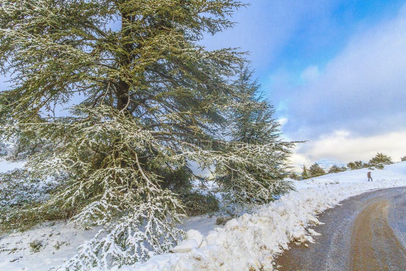 Chrea park stock photo. Image of house, national, natural - 61455860