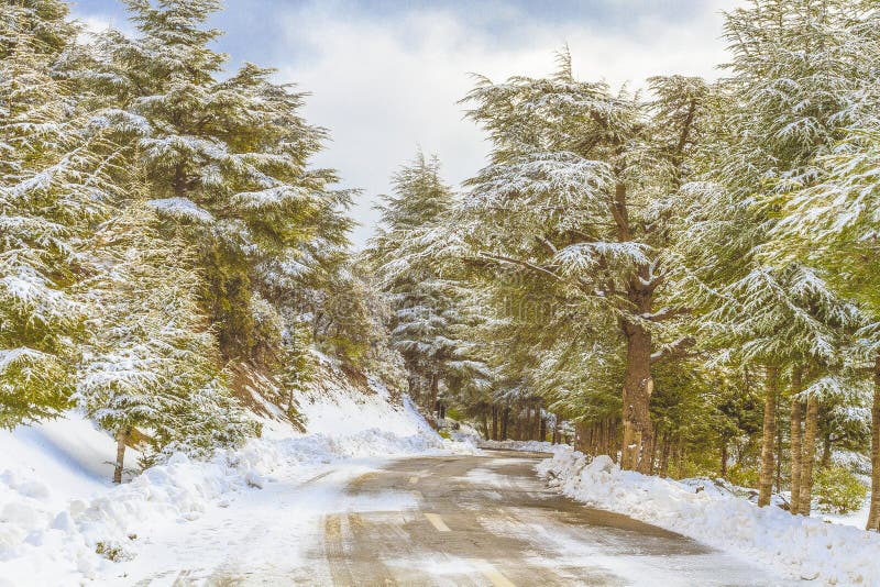 Chrea stock image. Image of holyday, clouds, relax, forest - 142618301