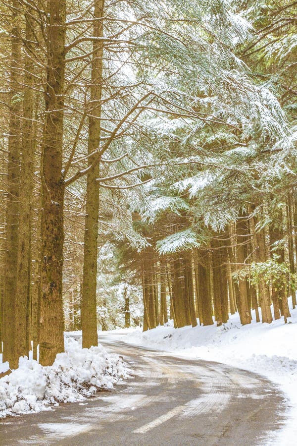 Chrea stock photo. Image of africa, clean, cloudy, nature - 142618482