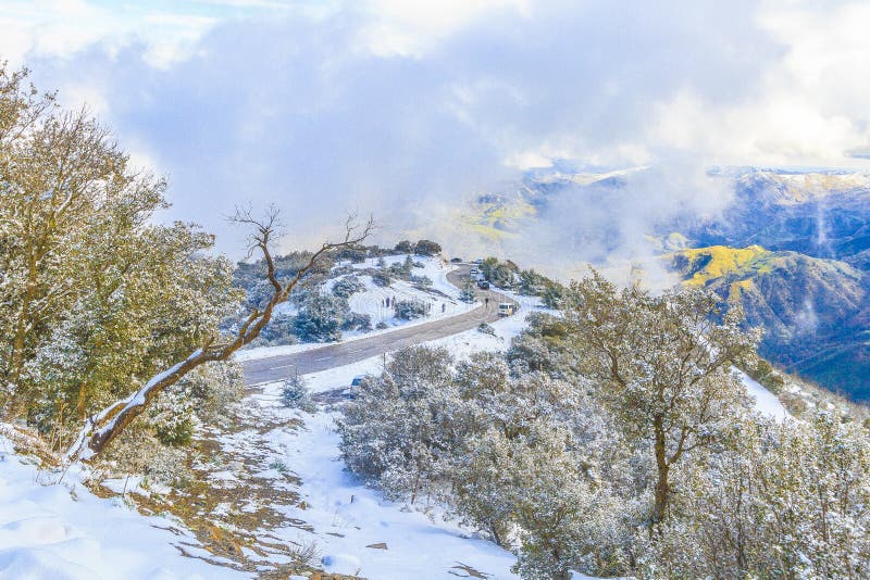 Chrea park stock photo. Image of national, protected - 61983040