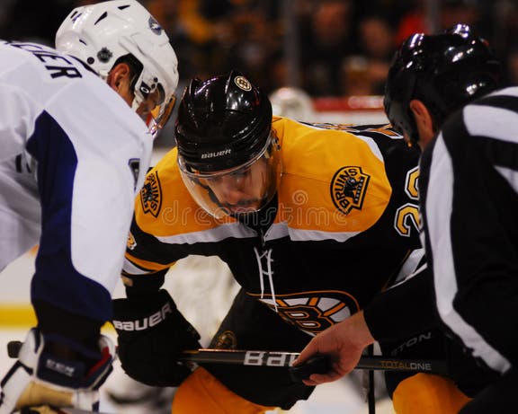 Chris Kelly, Boston Bruins editorial stock image. Image of player ...
