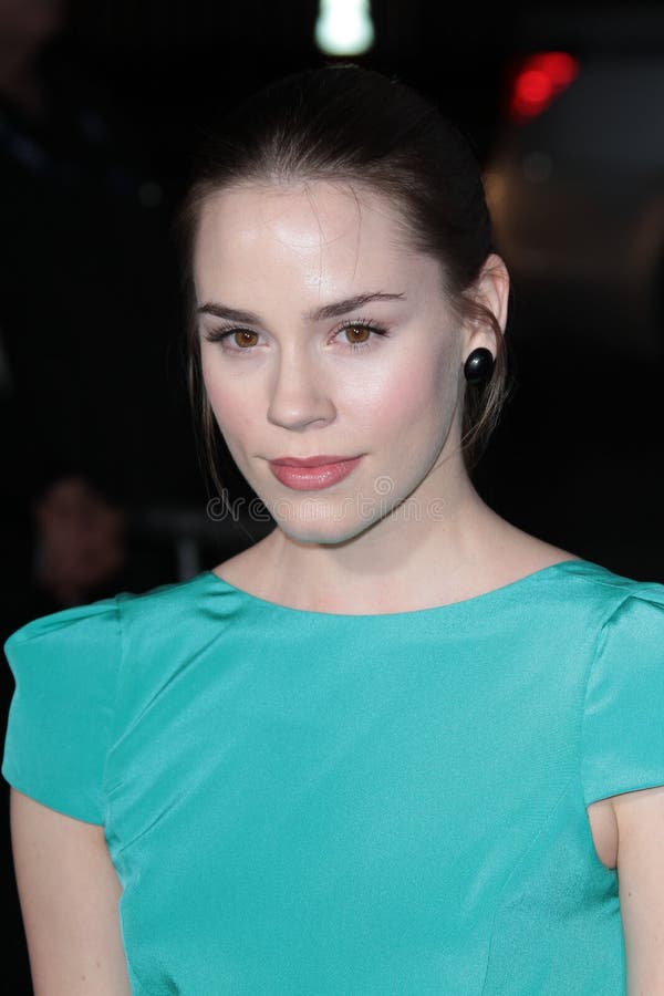 Christa B. Allen editorial photo. Image of winter, pasadena - 23107231