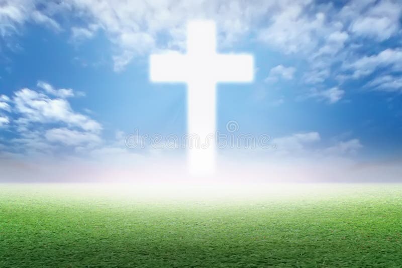 Cruz Roja X Y Gancho Verde V Con La Trama, En Checkbox Sí Ningunos ...