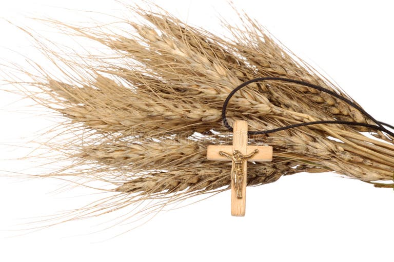 Christian Cross and Wheat stock image. Image of holy - 13634581