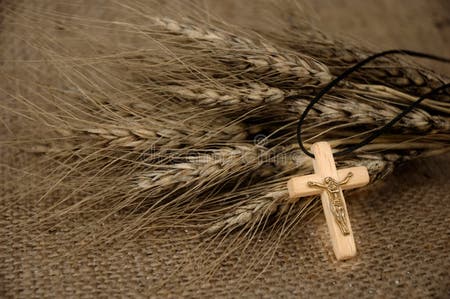 Christian Cross and Wheat stock image. Image of stilllife - 13634589