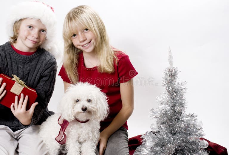 Christmas Poo Emoji Stock Photos - Free & Royalty-Free Stock Photos ...