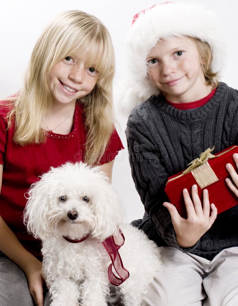 Christmas Poo Emoji Stock Photos - Free & Royalty-Free Stock Photos ...