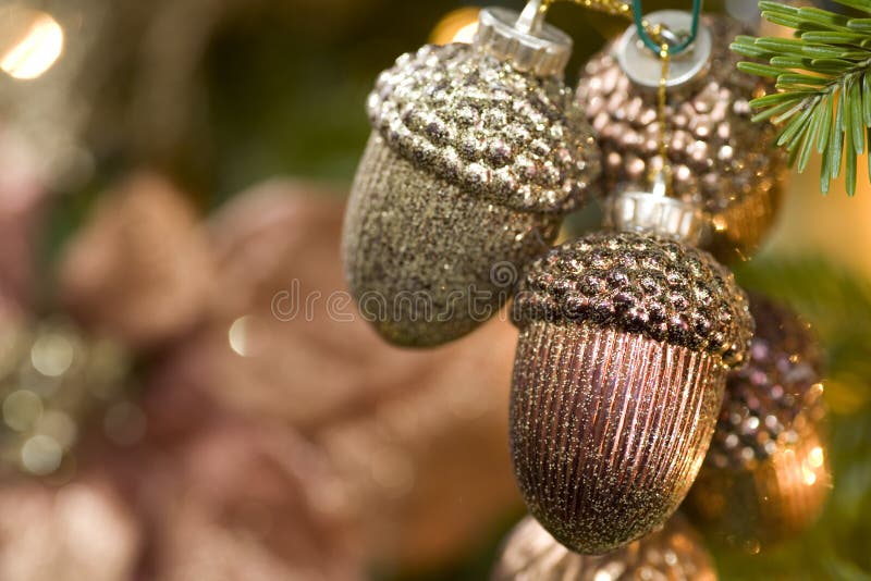 Christmas Acorns stock photo. Image of ornament, ornaments - 9759392