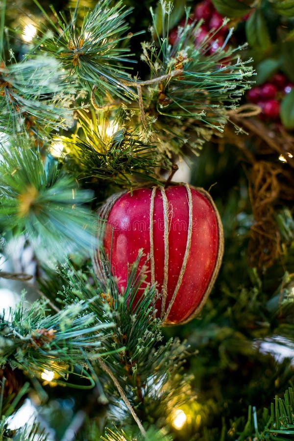 Christmas apple stock photo. Image of happy, tree, christmas - 35327348
