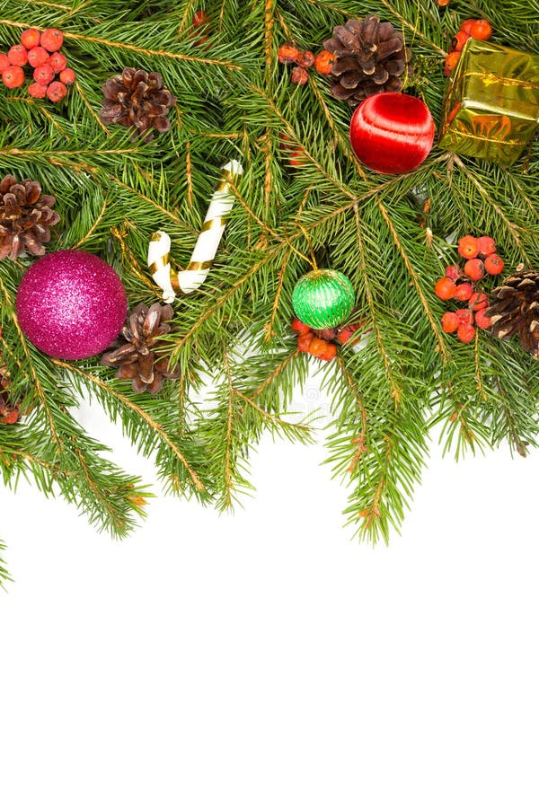 307 Cane Framework Stock Photos - Free & Royalty-Free Stock Photos from ...