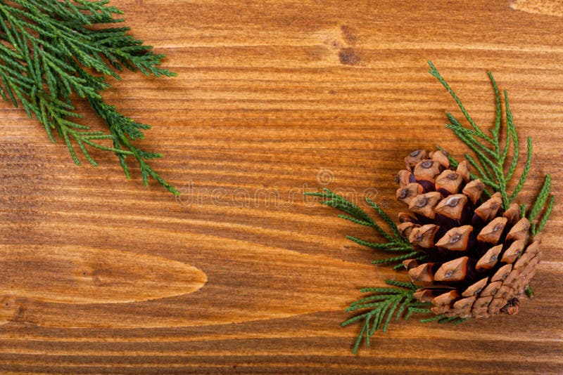 Christmas Background Pine Corn and Tree Leaves Decor Stock Image ...