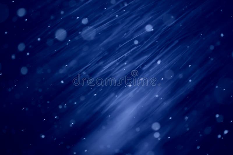 Snowstorm Evening with Pine Tree Lit Up Covered in Snow Stock Photo ...