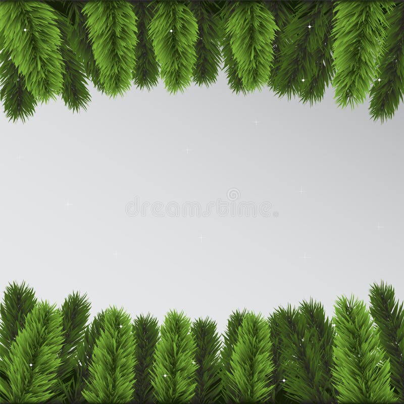 Sample Conifer Stock Illustrations – 70 Sample Conifer Stock ...