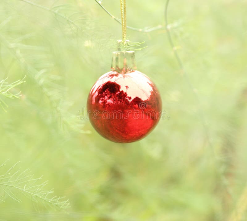 Christmas Ball Hanging on the Pine Tree Stock Image - Image of green ...