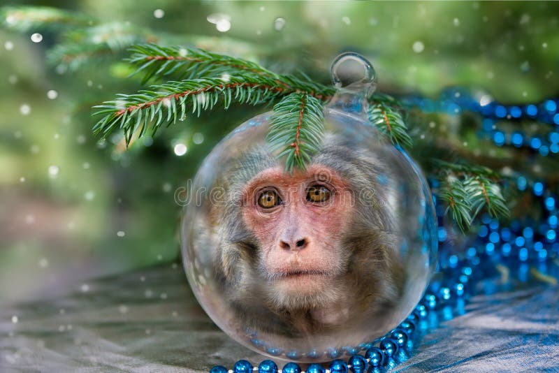 Christmas Ball with Dog Under the Tree. Stock Photo - Image of digital ...