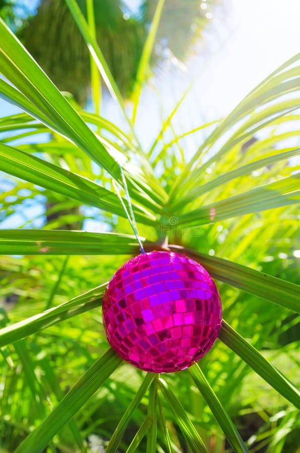 Christmas Ball on Palm Tree Stock Photo - Image of year, sunlight: 32975680