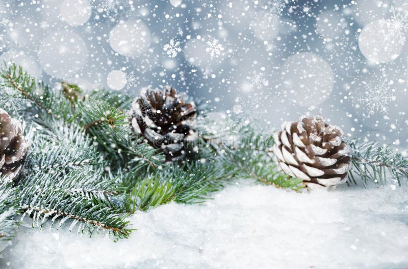 Christmas Banner with Snowy Fire Branches Stock Photo - Image of light ...