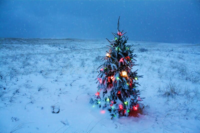A Small Town Christmas at Chatham, Cape Cod Stock Image - Image of tree ...