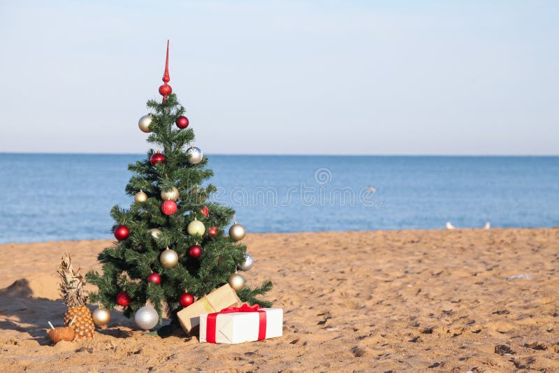 Christmas Beach Party