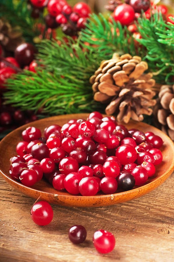 Christmas Berries and Spruce Stock Photo - Image of celebration, spruce ...
