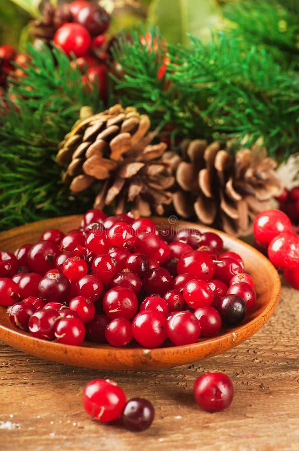 Christmas Berries and Spruce Branch Stock Photo - Image of holiday ...