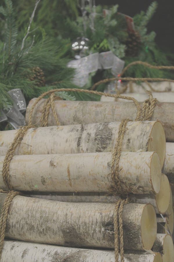 Christmas Birch Tree logs stock image. Image of holidays - 138299573