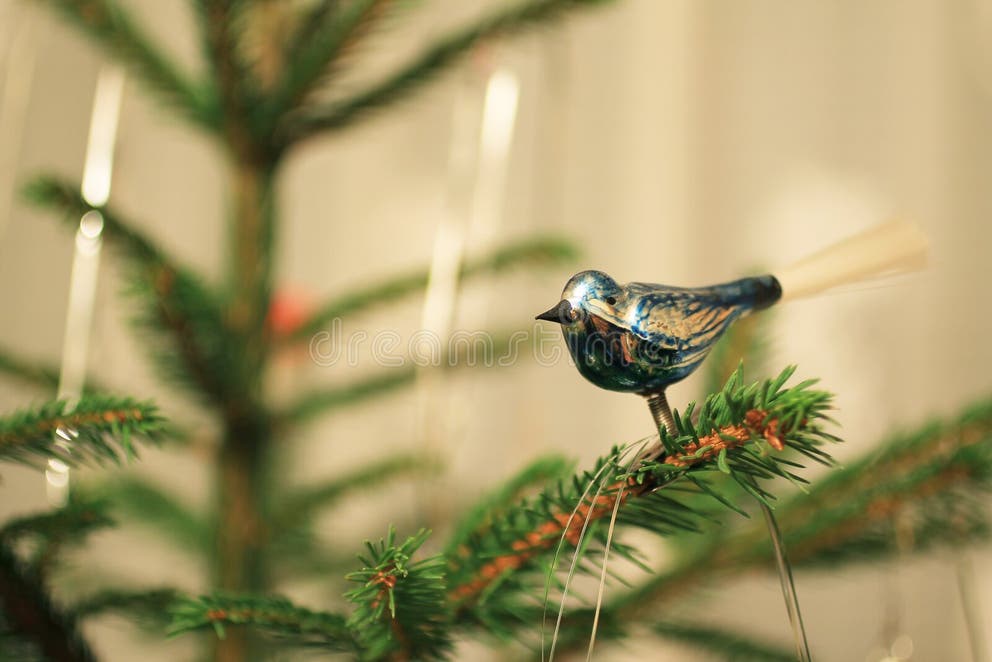 Christmas bird stock photo. Image of celebration, celebrating - 100674754
