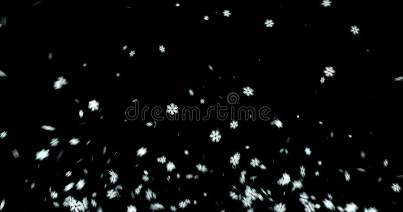 Sparkle Star Blinking Animation Effect Stock Footage - Video of festive ... Sparkle Star Blinking Animation Effect Stock Footage - Video of festive ...