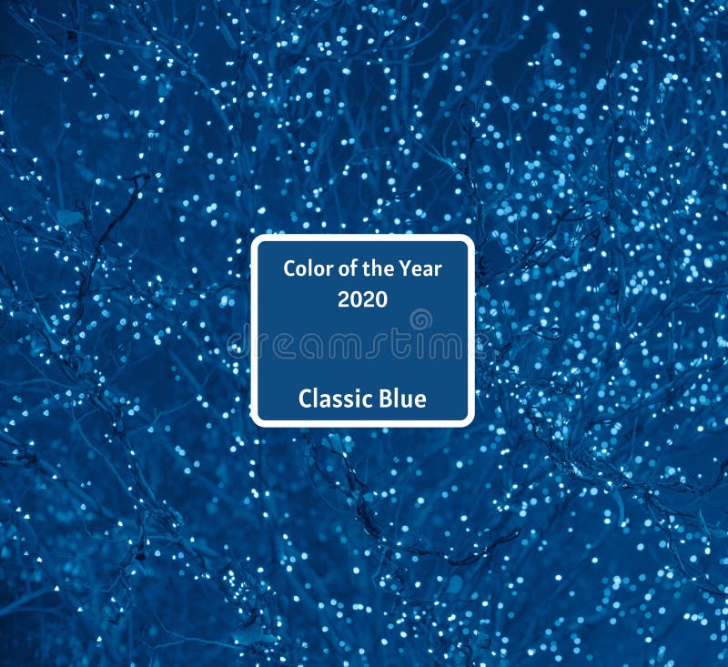 Christmas Blue Lights on a Tree in a Dark Blue Sky Editorial Stock ...