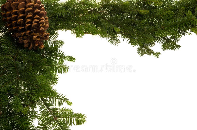 Christmas Border with Large Pine Cone Stock Image - Image of season ...