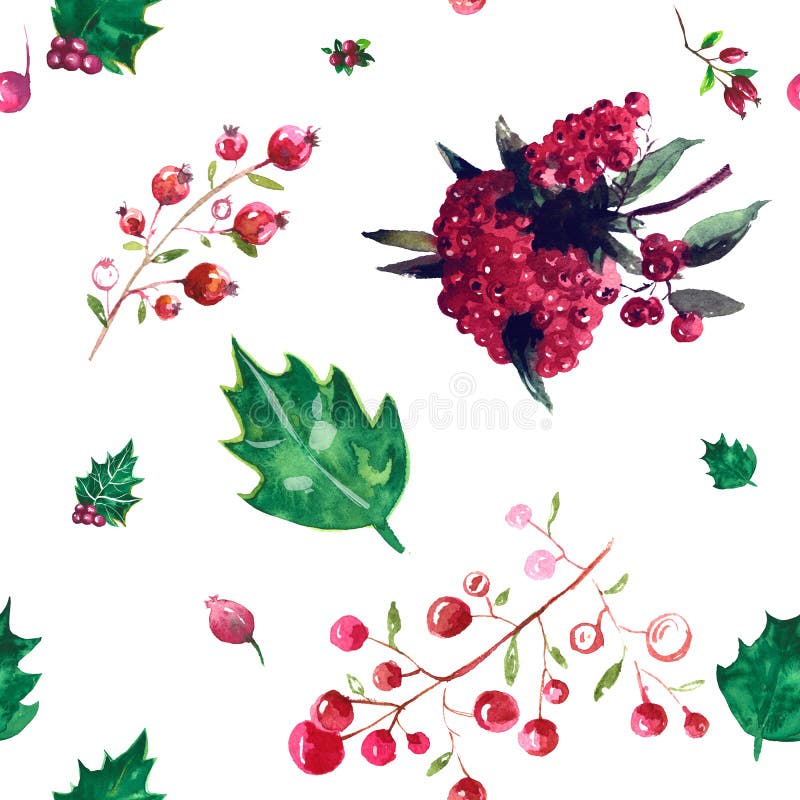 Christmas Botanical Watercolor Pattern Stock Illustration ...