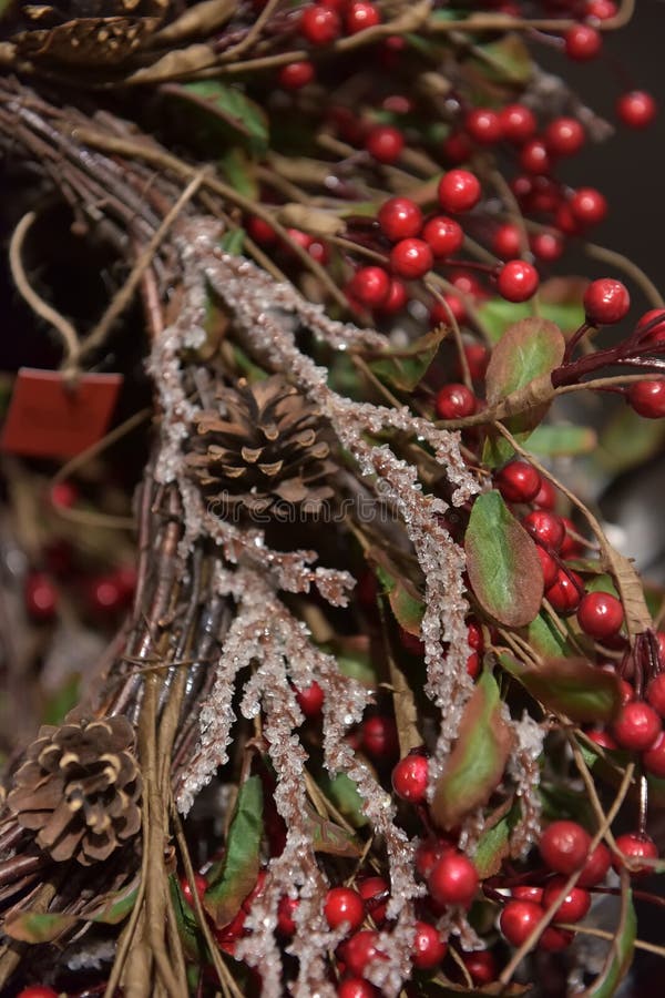 Christmas Branches with Red Berries Stock Photo - Image of christmas ...