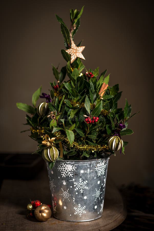 Christmas bush stock photo. Image of mini, ornament, decorated - 62560288