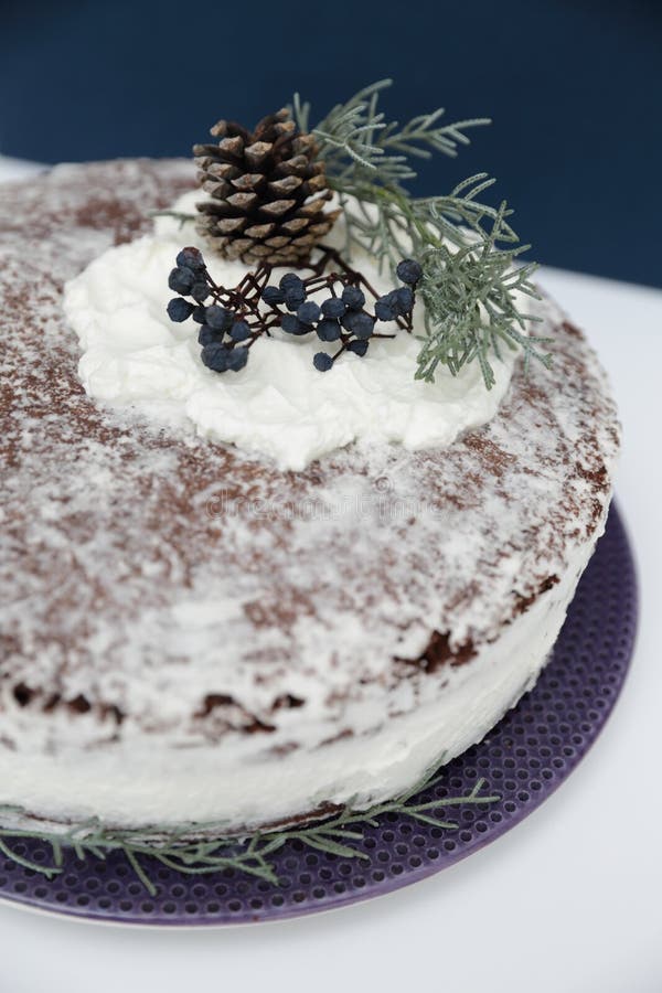 Christmas Cake with Snow Decorated Stock Image - Image of homemade ...