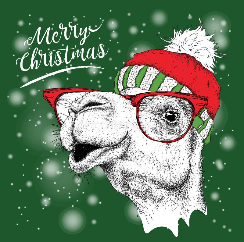 Christmas Card with Camel in Winter Hat. Merry Christmas Lettering ...