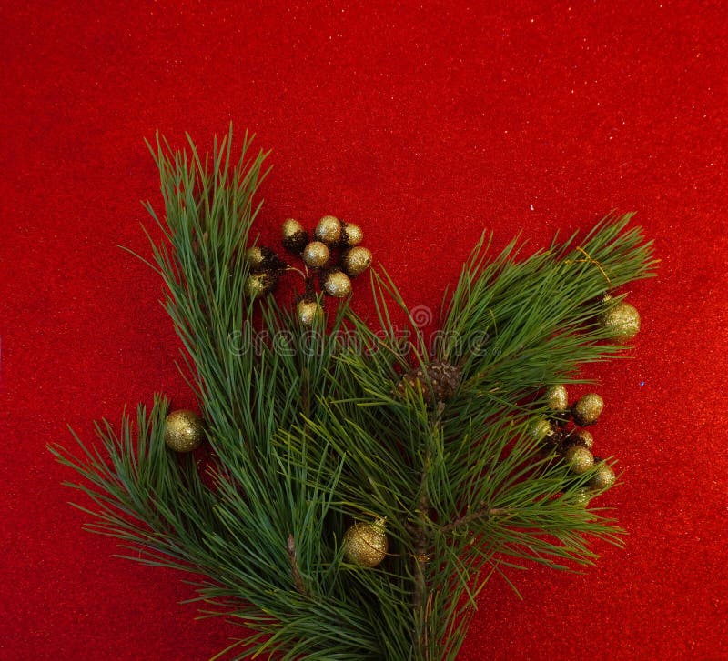 Christmas Card on a Red Background Christmas Tree Sprig and Balls ...