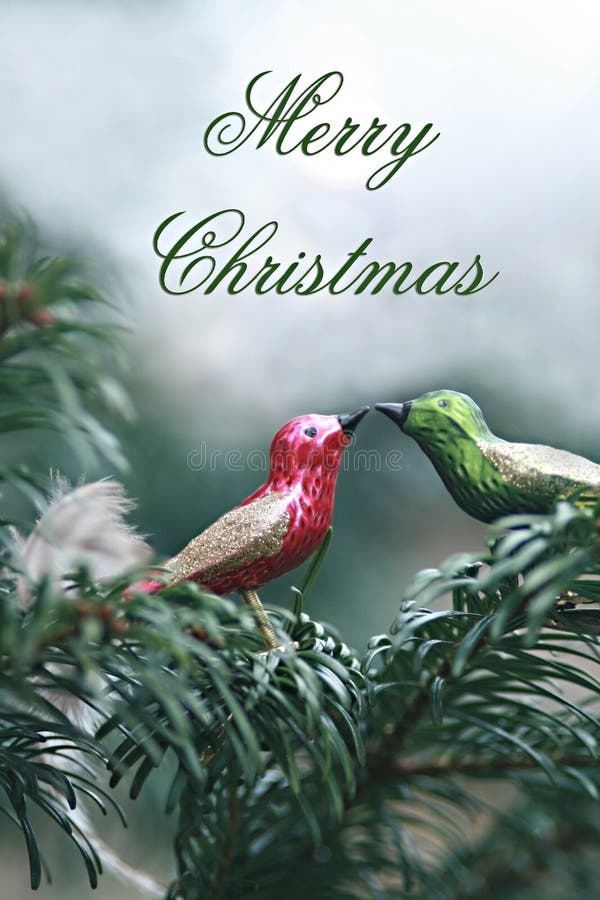 Christmas Card with Christmas Birds and Text Stock Image - Image of ...