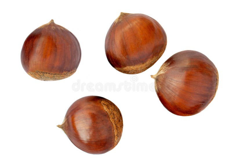 Chestnut Isolated. Roasted Sweet Chestnuts for Christmas on White ...