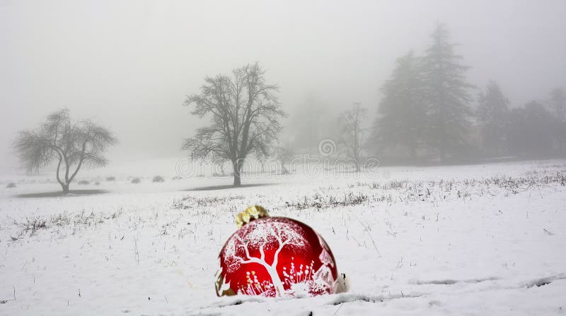 Colorado Snowballs Stock Photos - Free & Royalty-Free Stock Photos from ...