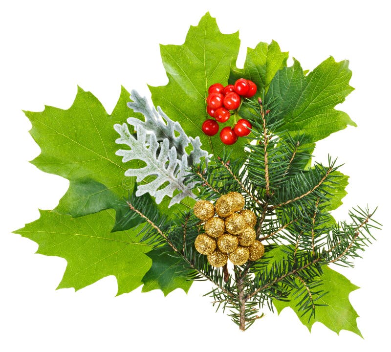 Christmas Composition with Ilex, Fir and Berries Stock Photo - Image of ...