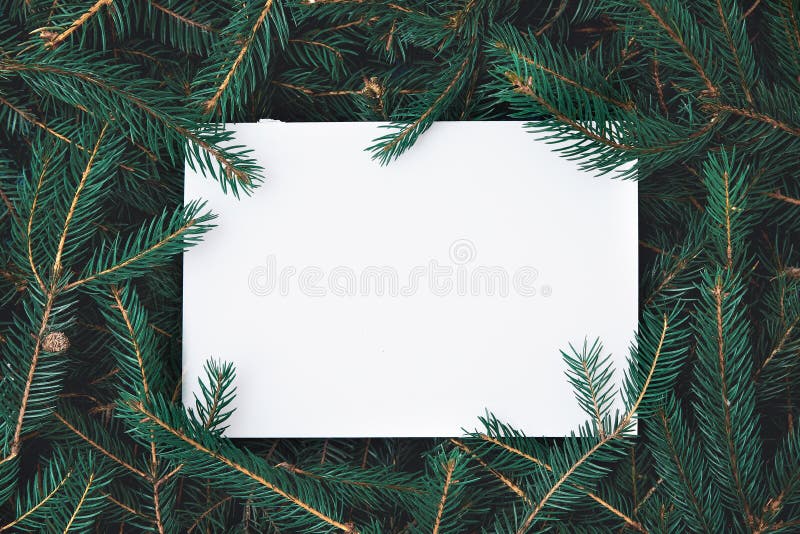 Christmas Composition Made of Christmas Tree Branches with Paper Card ...