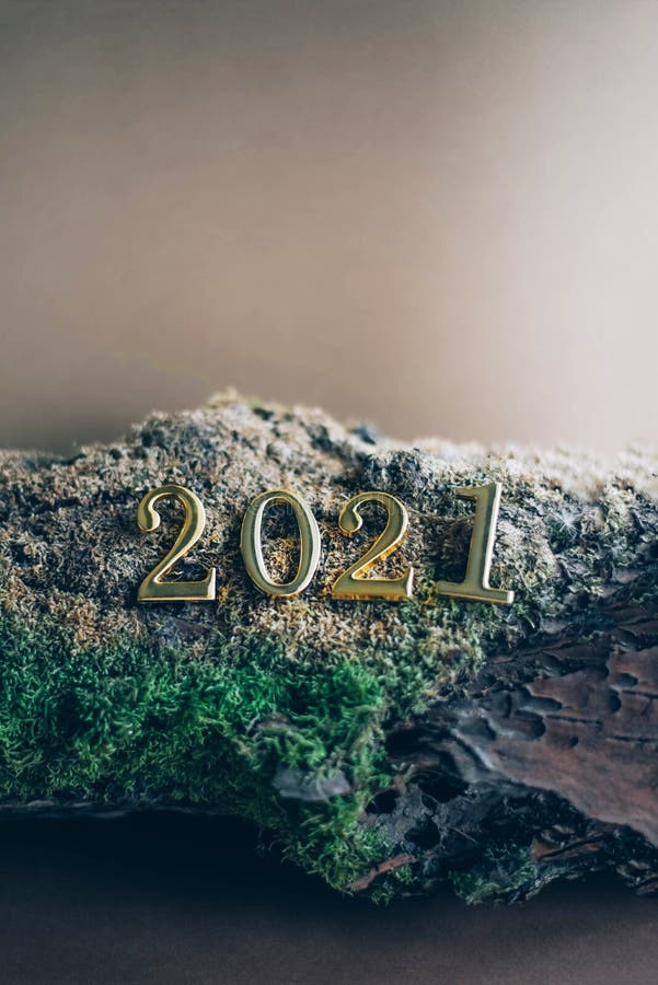 Christmas Composition with Natural Elements and the Inscription 2021 ...