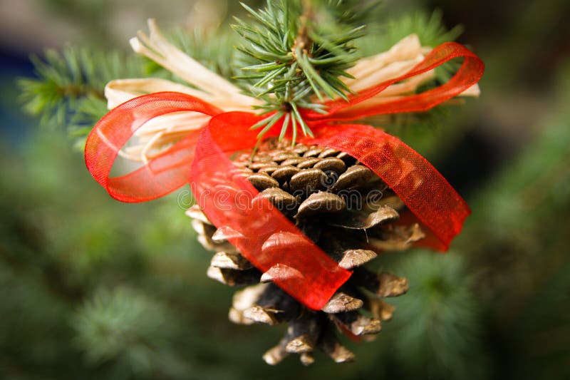 Christmas cone stock image. Image of decoration, celebration - 37995427