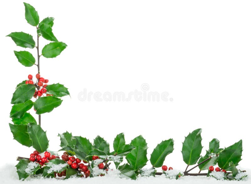 A Christmas Corner Border Frame Stock Image - Image of border, sprig ...